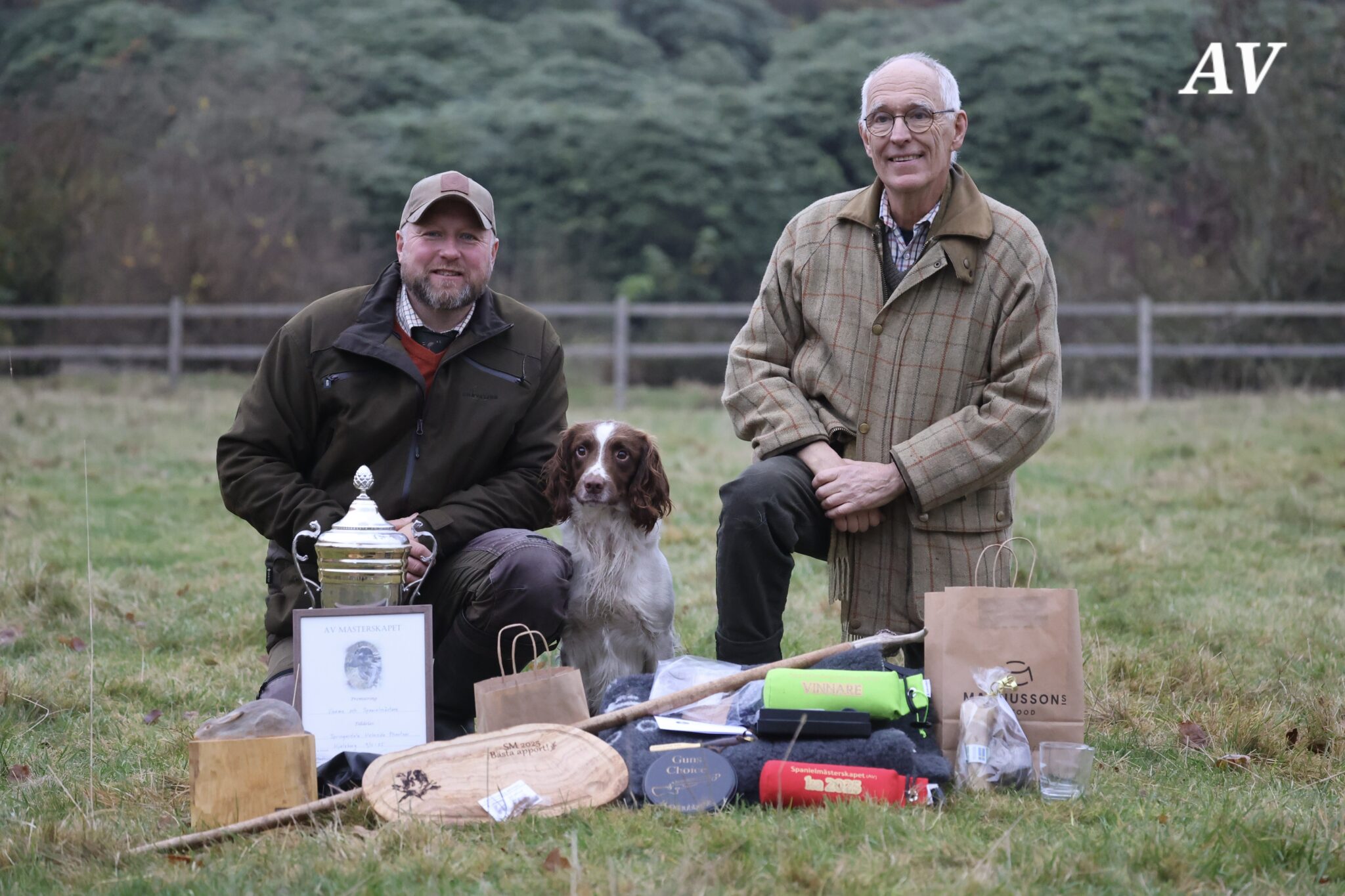Spanielmästerskapet 2025